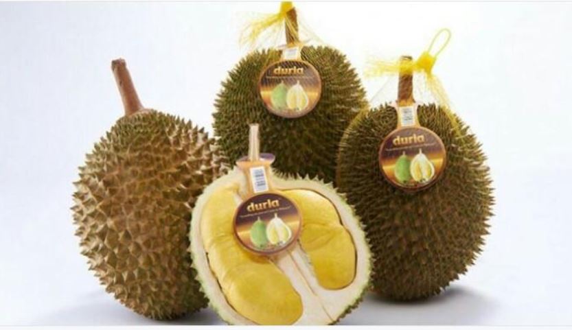 Duria D197 Blackgold AAA Musang King Whole Fruit Durian 10kg **SYDNEY ONLY** – Savour of Asia