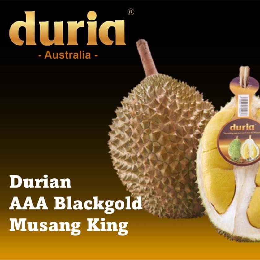 Duria D197 Blackgold AAA Musang King Whole Fruit Durian 10kg **SYDNEY ONLY** – Savour of Asia